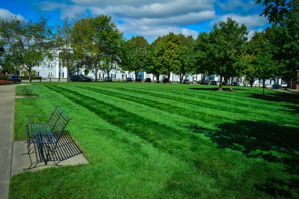 Indianapolis Landscape Installation - Calvin Landscape